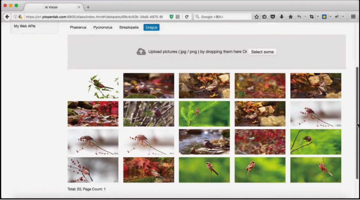 IBM PowerAI Vision｜ディープラーニングに特化したGUIベースの画像解析アプリケーション - アイマガジン｜i ...