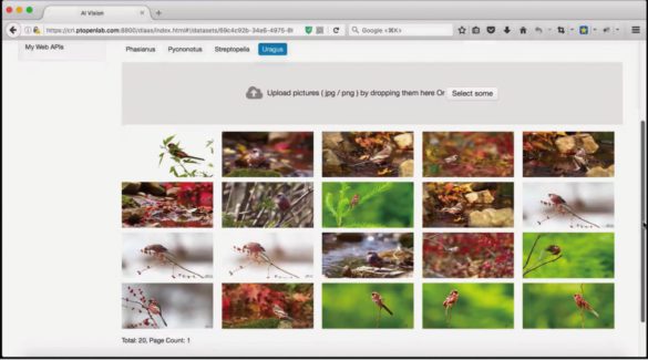 IBM PowerAI Vision｜ディープラーニングに特化したGUIベースの画像解析アプリケーション - アイマガジン｜i ...