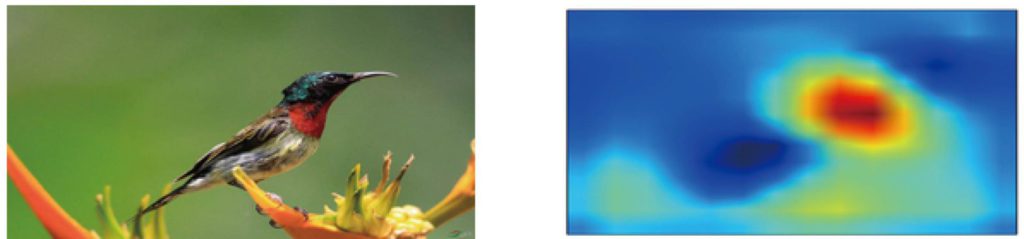 IBM PowerAI Vision｜ディープラーニングに特化したGUIベースの画像解析アプリケーション - アイマガジン｜i ...